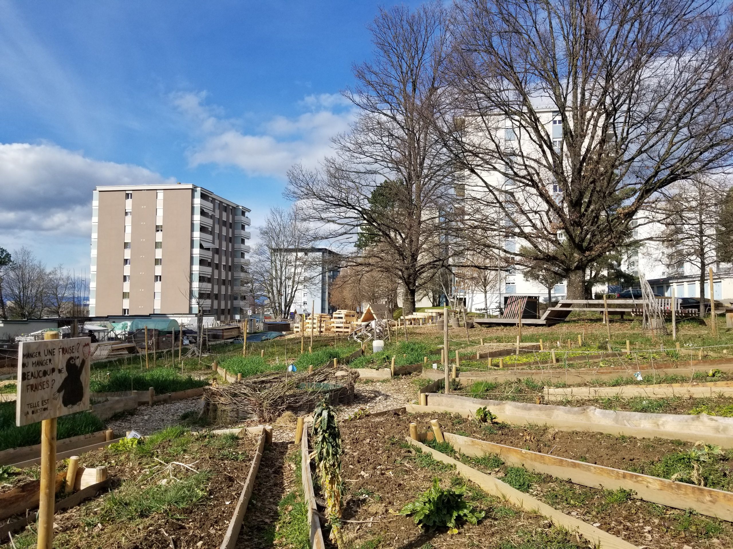 Densification urbaine et projet de paysage | Joint Master of ...
