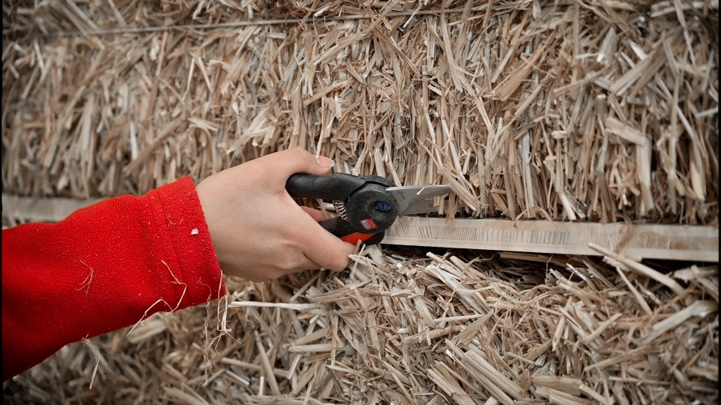 Seestadt Biel/Bienne ville lacustre - De la ressource au détail ...